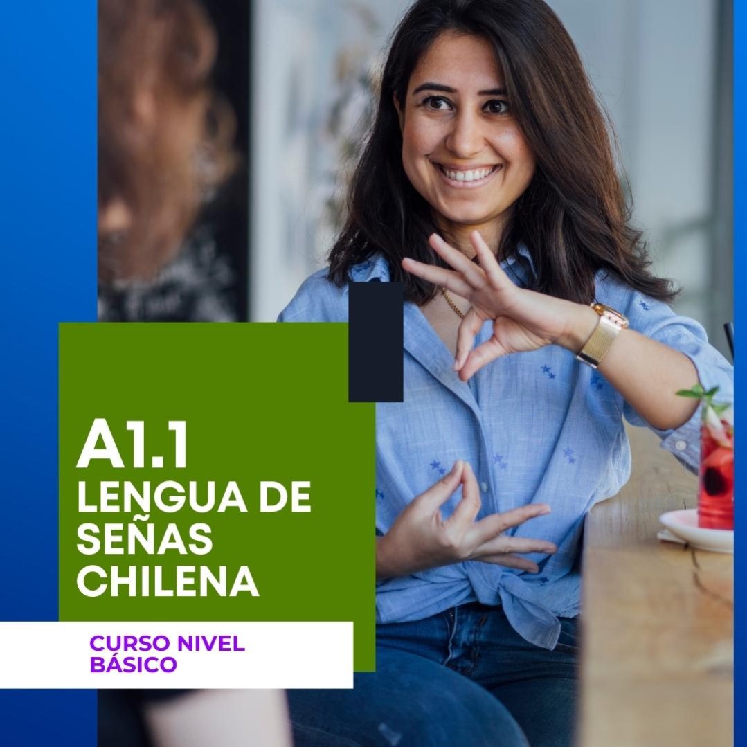 Curso Nivel Básico A1.1 Lengua de señas chilena – Instituto Enseñame