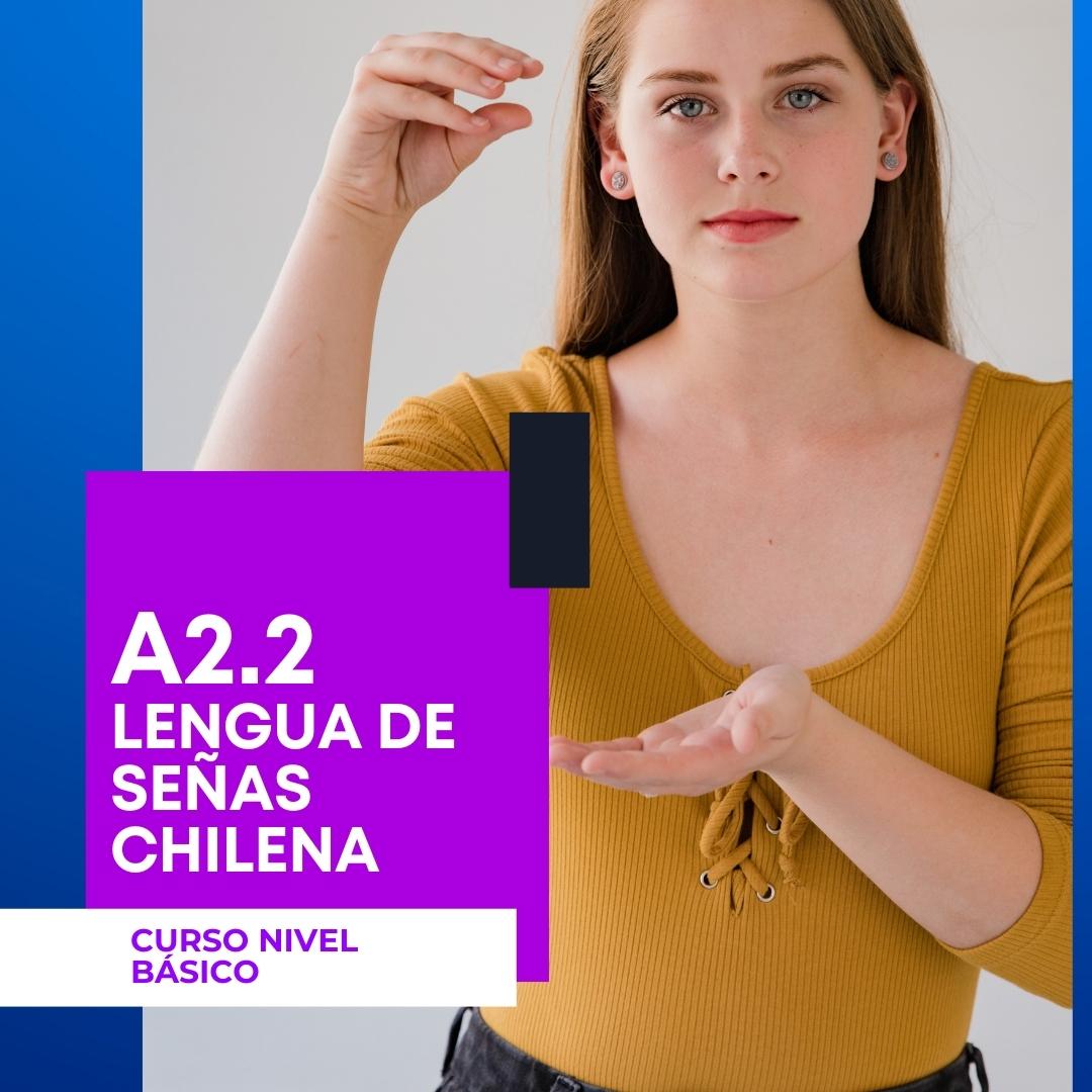 Curso Nivel Básico Instituto Enseñame